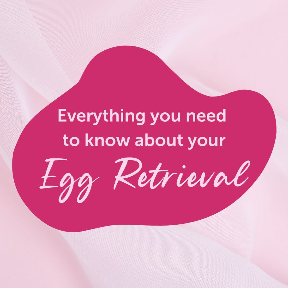 Everything You Need to Know About Your Egg Retrieval | Egg Donors UK