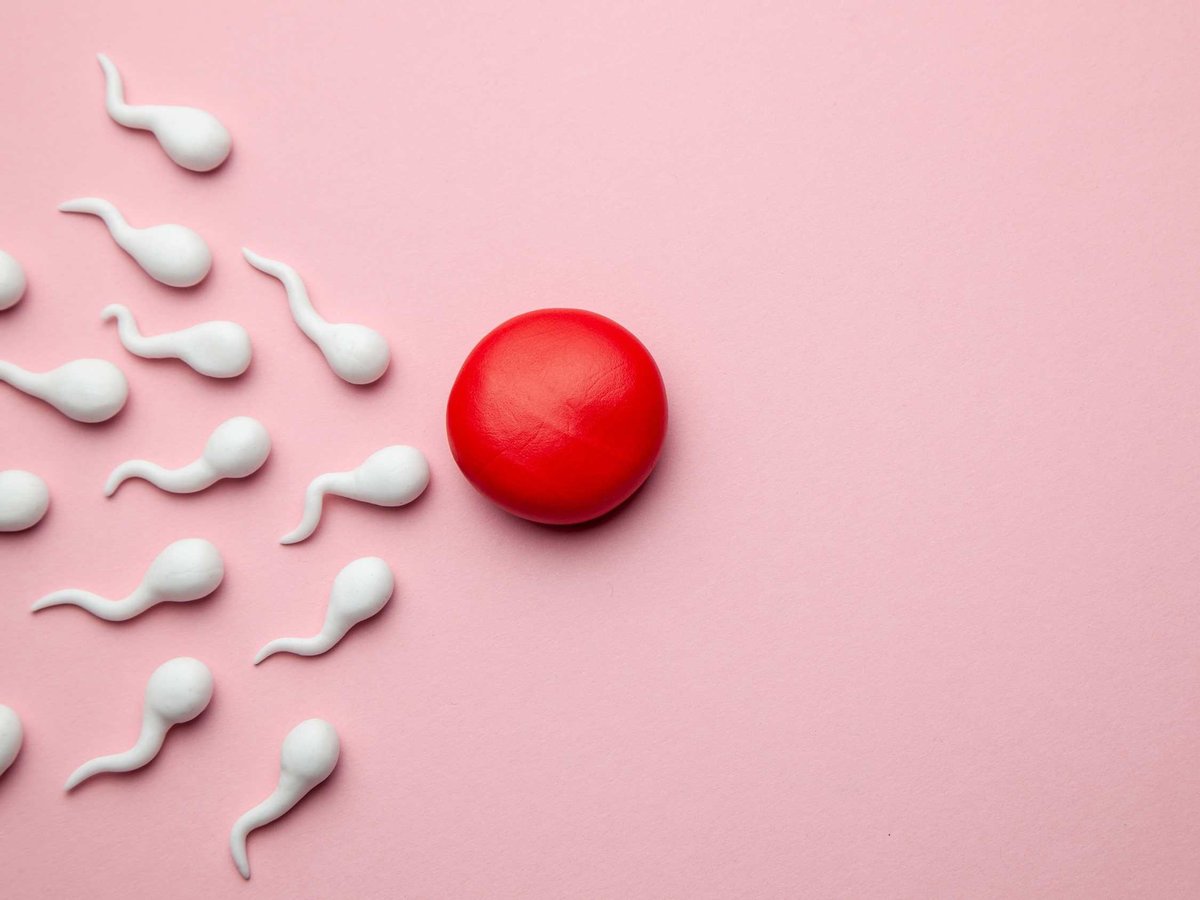 New ‘3-parent’ IVF technique using donor eggs ‘needs more research ...